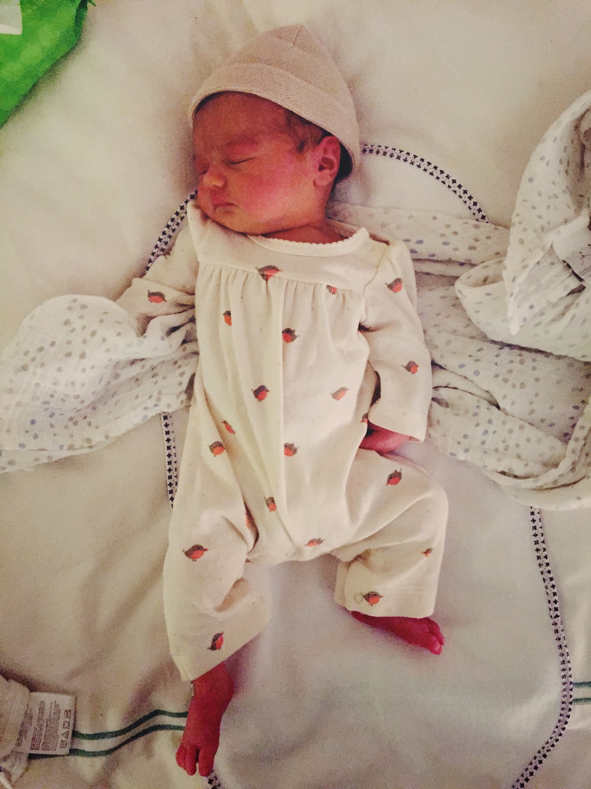 maple and shade: LATELY | OUR HAZEL GRIFFIN