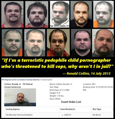 Ron Collins Facts: Ron Collins, aka Ronald Collins, Jr. : CONVICTED FELON