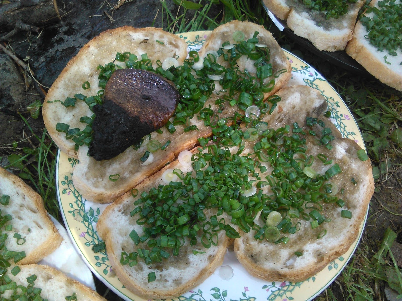 Retete cu margareta cismasiu: Clisa fripta si pita picurata