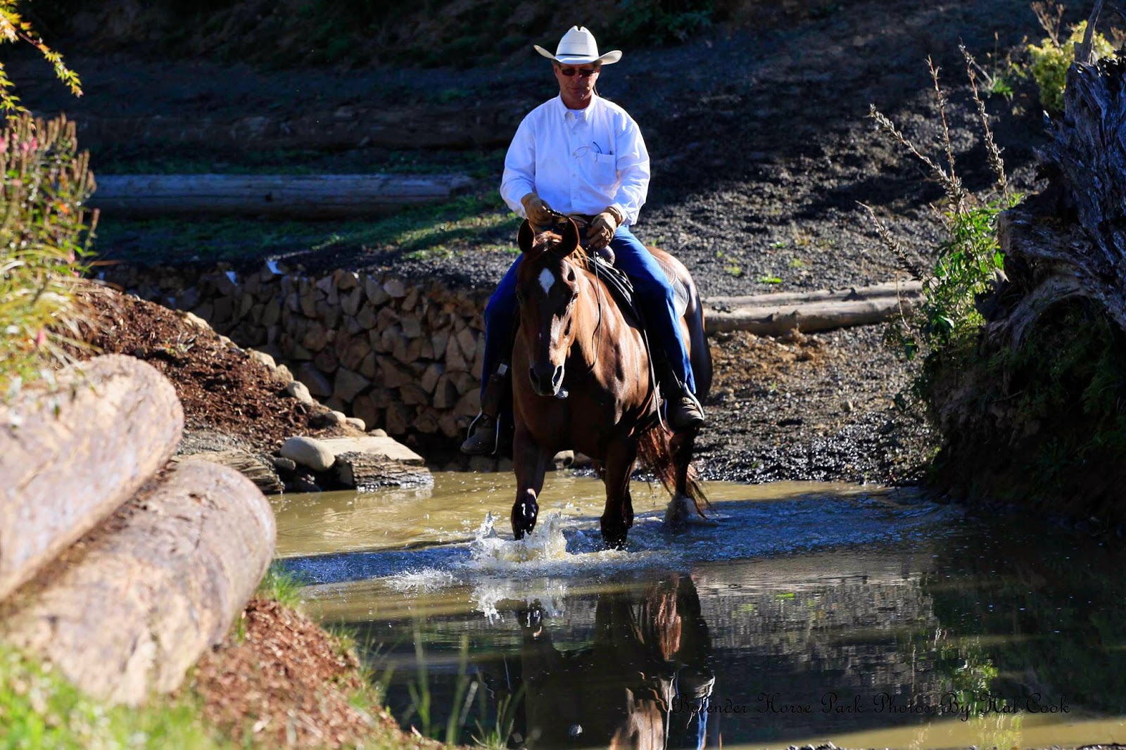 Buckaroo Leather Horse Tack, Use, Care and Maintenance: Mark Bolender ...
