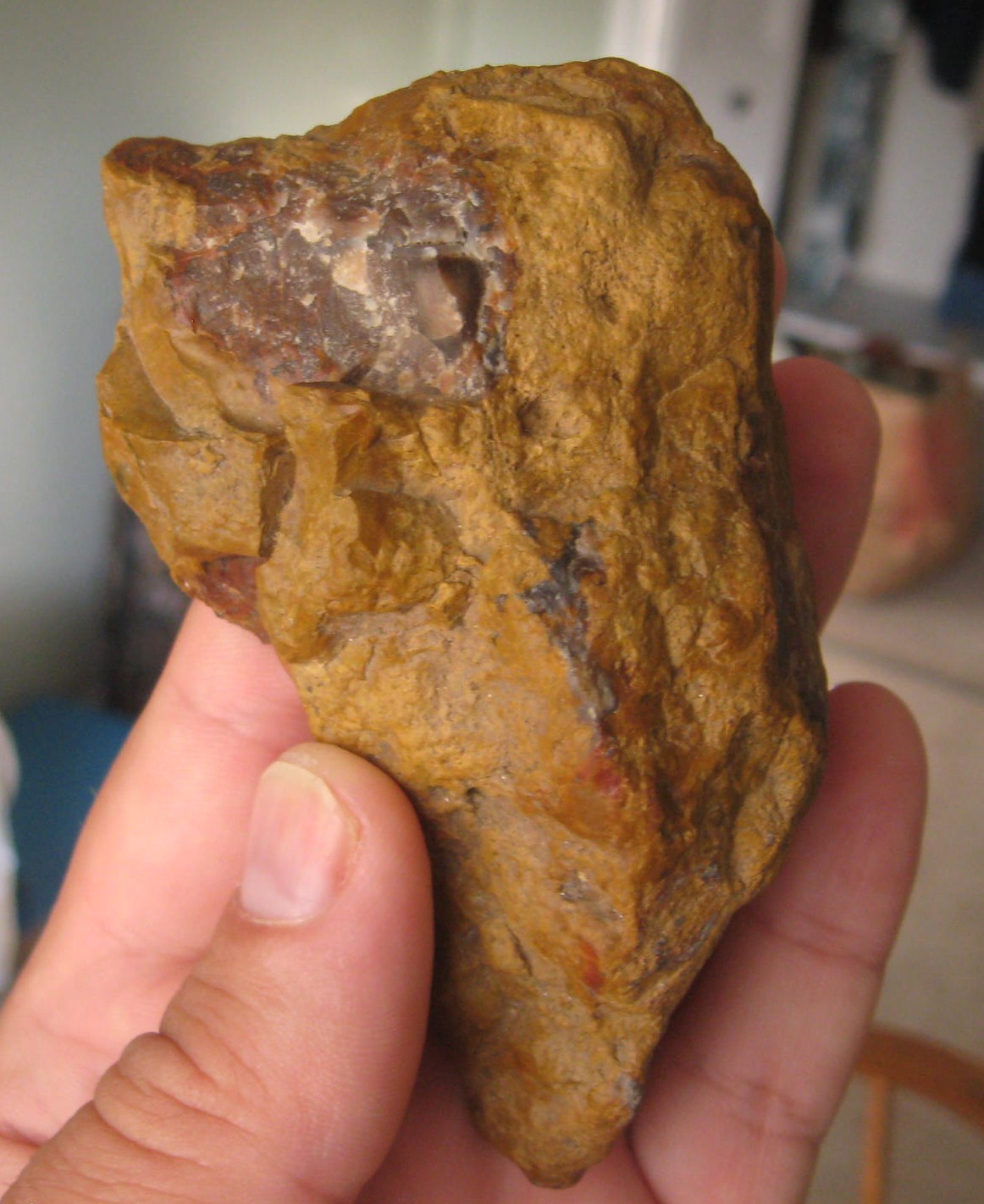 Archaeology of Portable Rock Art: Colorado head sculpture with muzzle ...