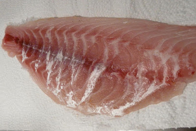 Kulinarische Welten zu Fisch- und Meeresfrucht: Zackenbarsch mit ...