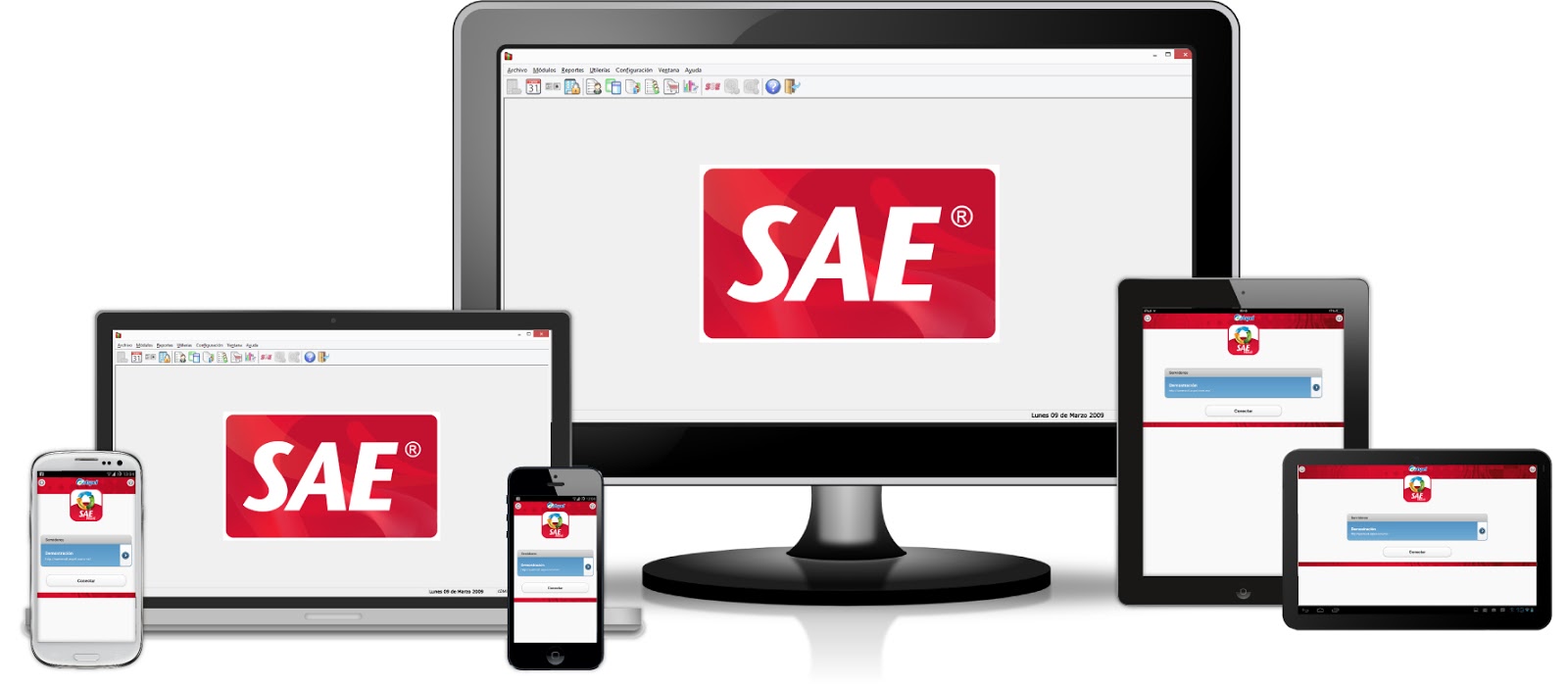 sistema computacionales en los negocios : catalagos del sistema sae