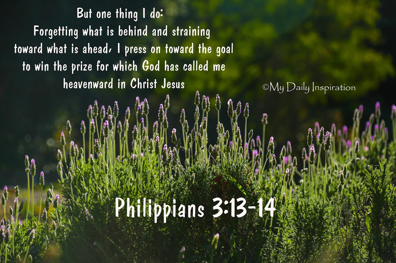 I press on toward the goal to win the prize