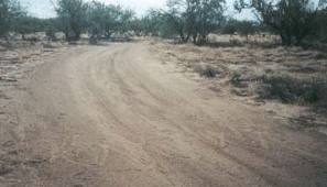 Agent Nowhere Man: Tracking Humans