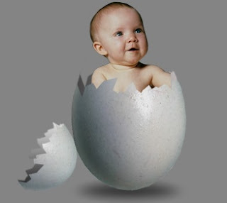 A Principal's Reflections: Egg Babies and Wedding Planning