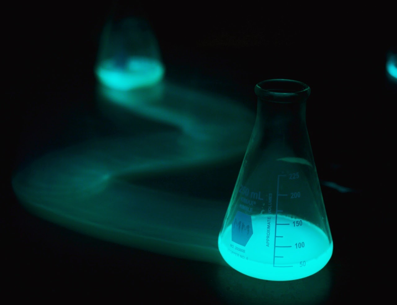 All Creatures Great AND Small: Preaching Microbial Centrism ...