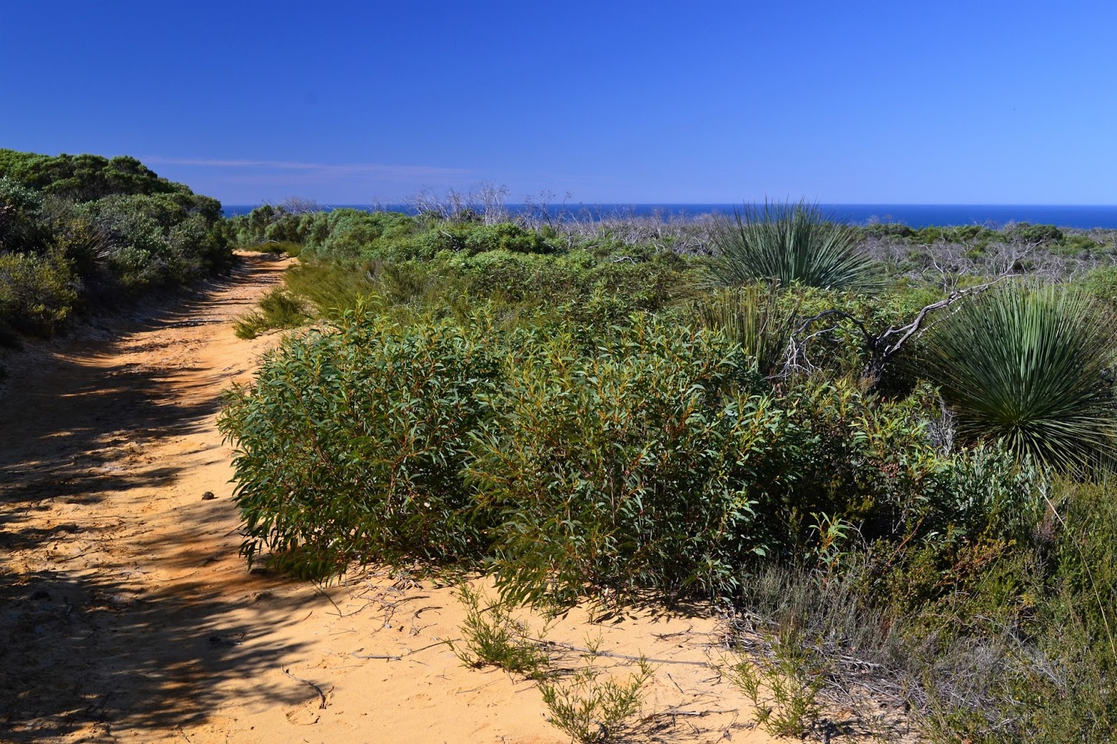 Goin' Feral One Day At A Time: Waitpinga Cliffs, Heysen Trail, Newland ...