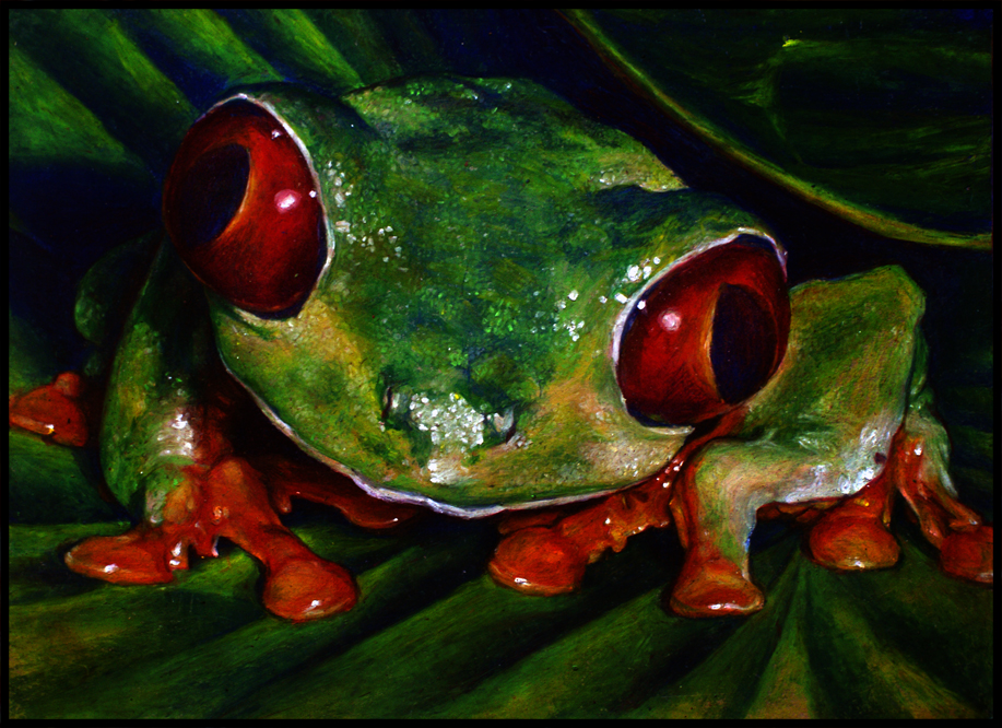 rupa katak pisang - resipikatakpisang