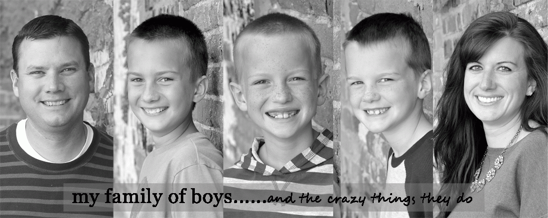 my family of boys