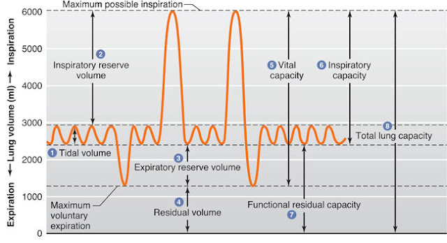 Spirometry