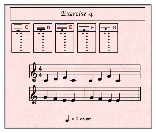 Amazing Recorder: Lesson 9 - Learning to Play Low D