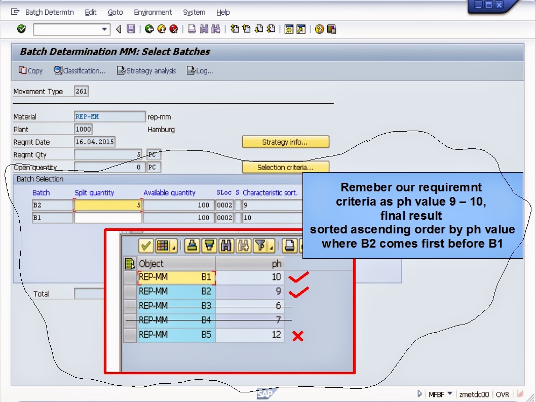 青蛙SAP分享 Froggy's SAP sharing: Batch Determination at REM Backflush for ...