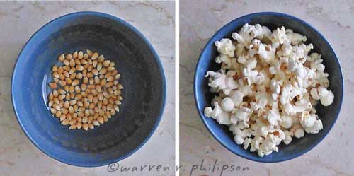 Retired--Now What?: Innovative Robotic Actuators