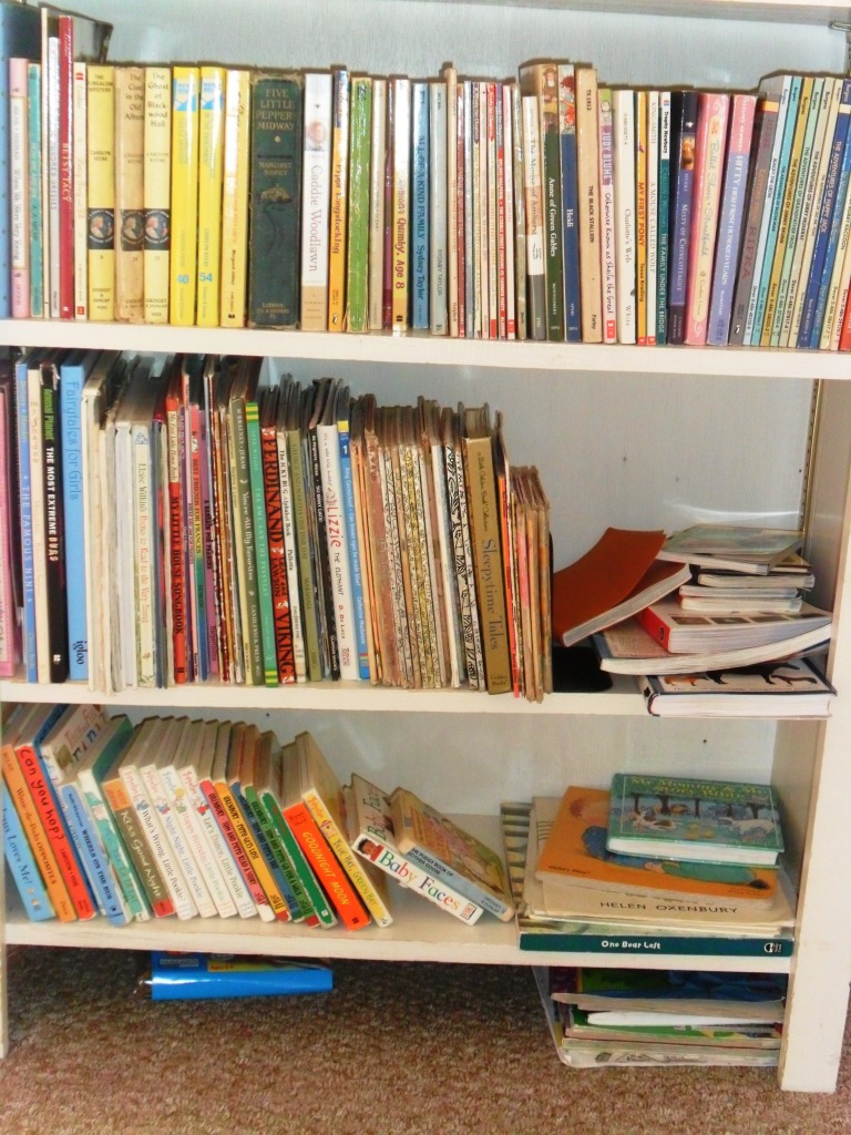 Bits and Pieces From My Life: How Do You...Organize Your Book Shelves?