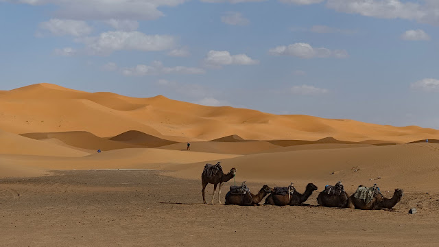 Tandem en Europe: Désert du Sahara, regs et ergs