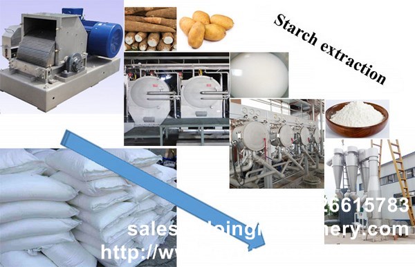 How extraction of starch from cassava