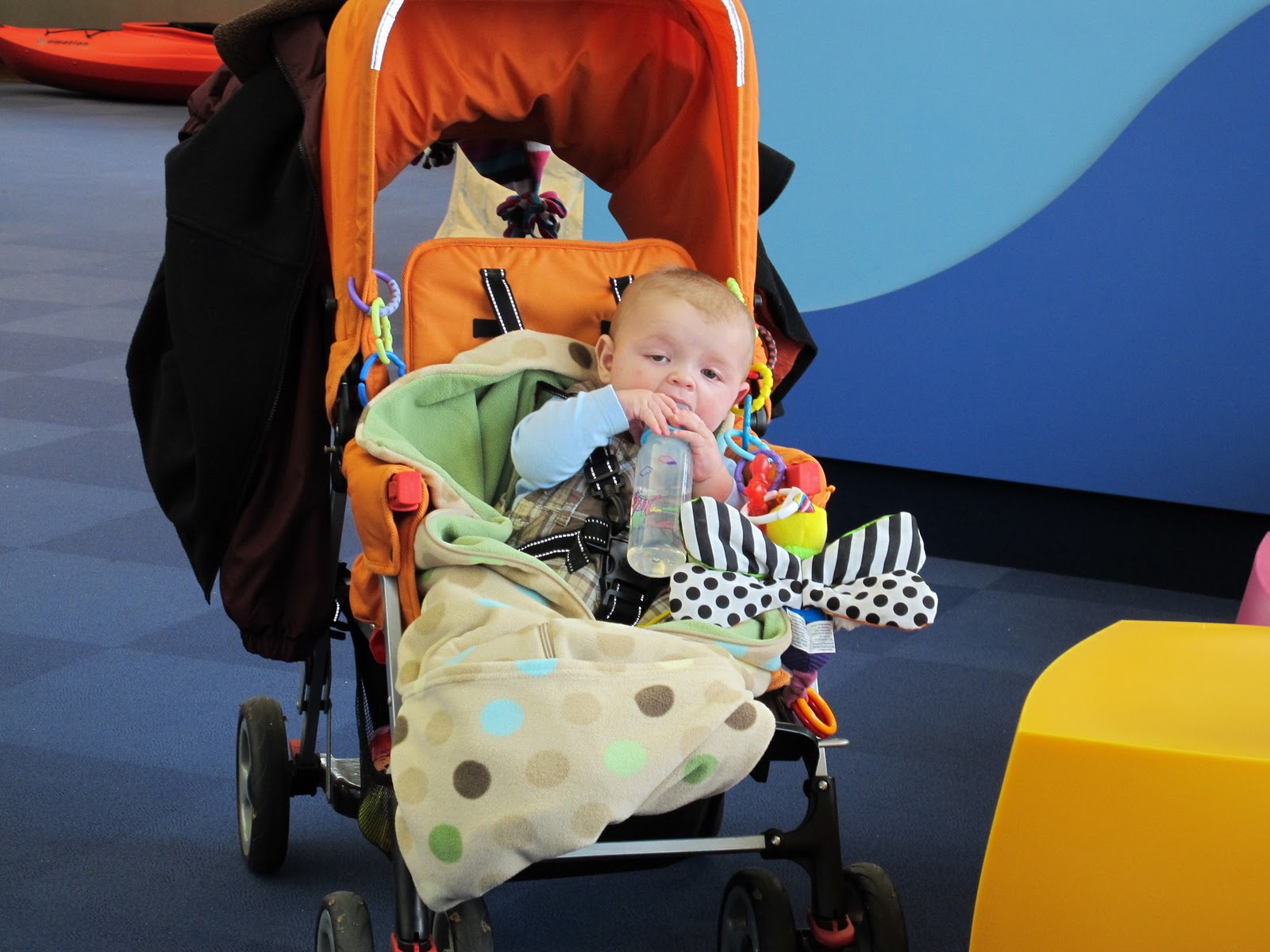 Ashley, Grant, Kendra, Elliot, Paxton, Bridget, Seth: January 2012