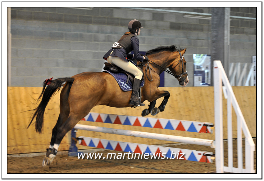 Hampshire Wedding Photographers: Show Jumping at Sparsholt College ...