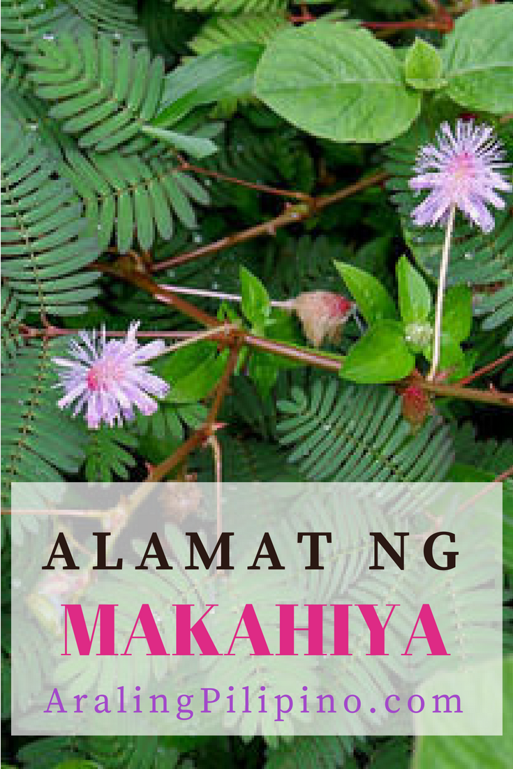 Alamat Ng Halaman Ano Ang Kanyang Pinagmulan - angbisaga