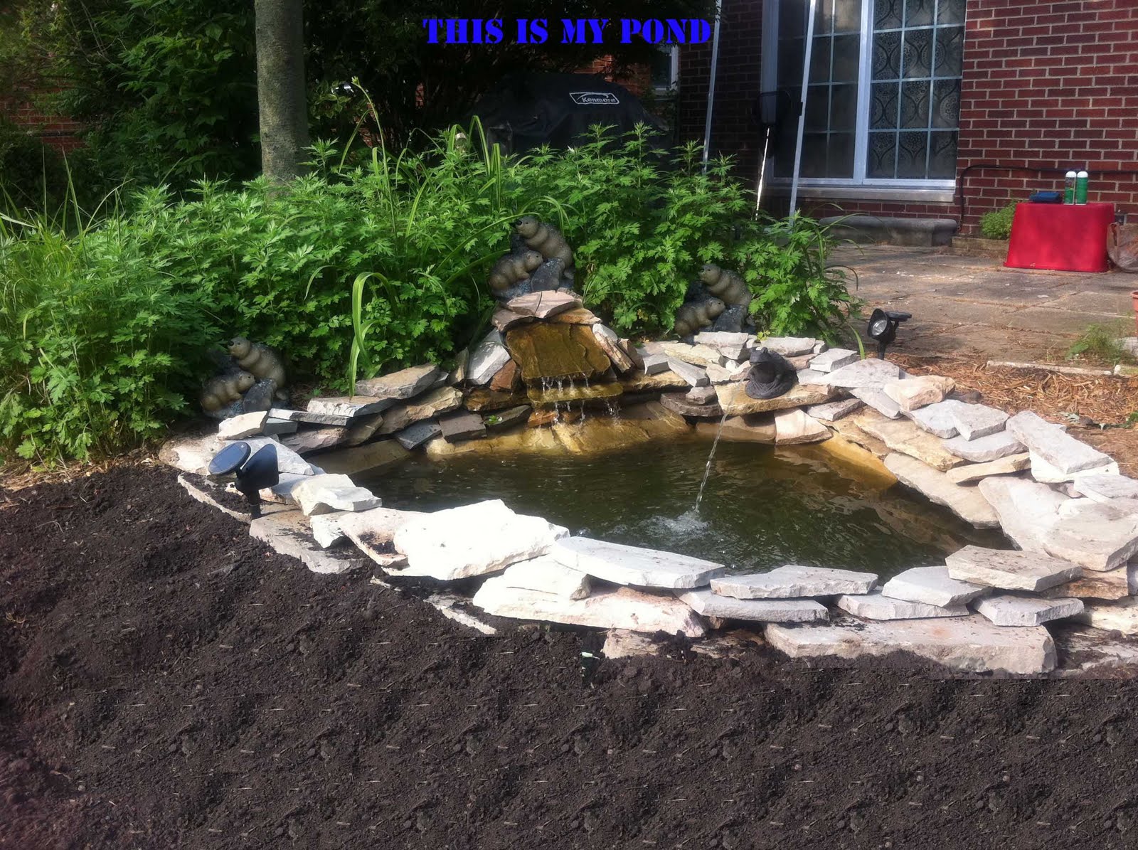 The Nerdy Teacher: @Adobe Photoshop CS5 Extended - A Review