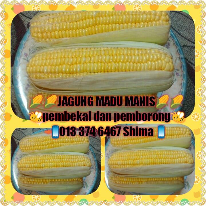 Honey Sweet Corn: MENCARI RESELLER JAGUNG MADU MANIS LERAI & JAGUNG ...