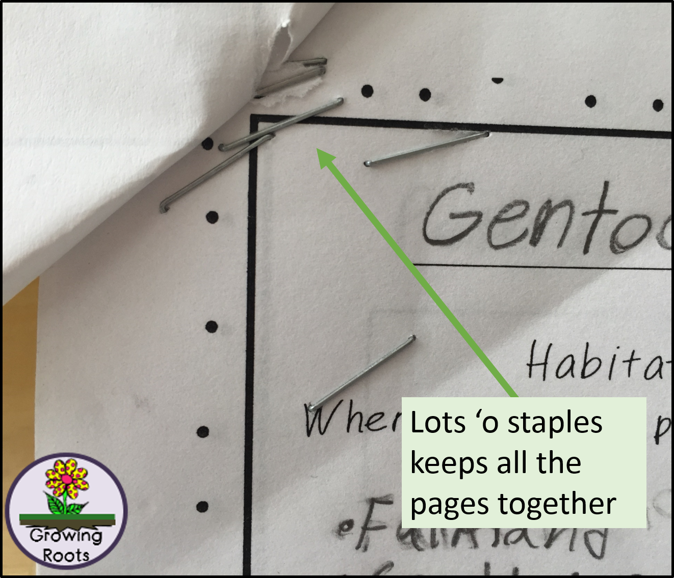 Growing Roots: Writing a First Draft - 6 Helpful Tips