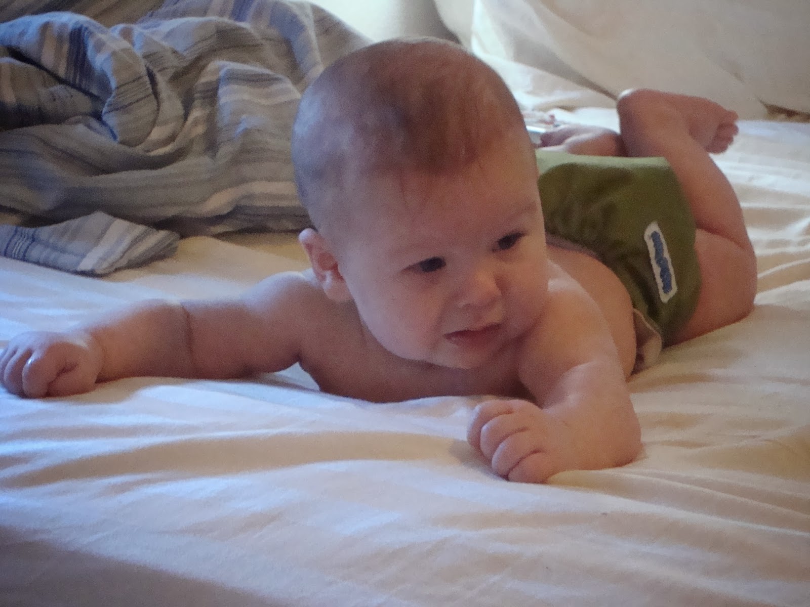 I Should Be In The Kitchen: Cloth Diaper Basics