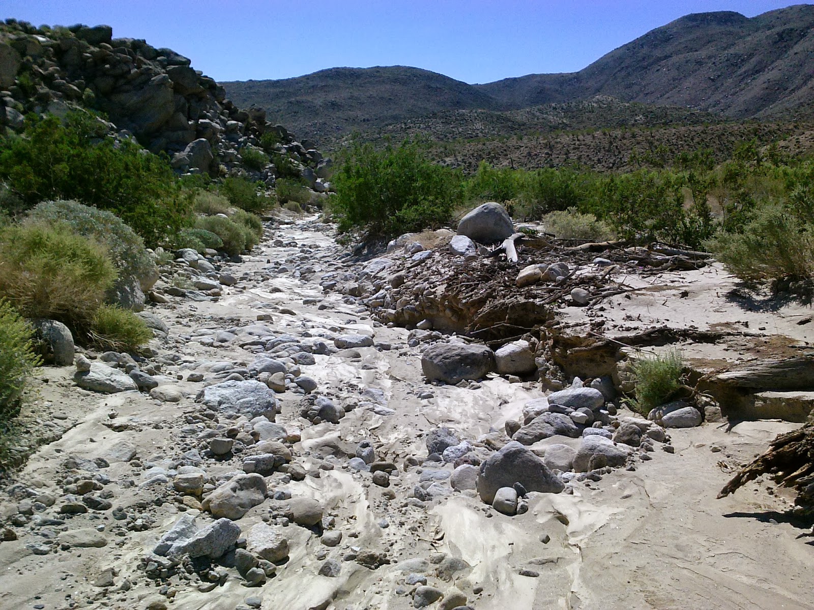 AdventureGraham: ABDSP: Culp Valley, Coyote Canyon, Kane Springs Road ...