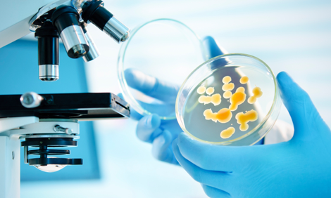 Cours de Microbiologie Générale BCG S4 pdf ~ Parcours BCG