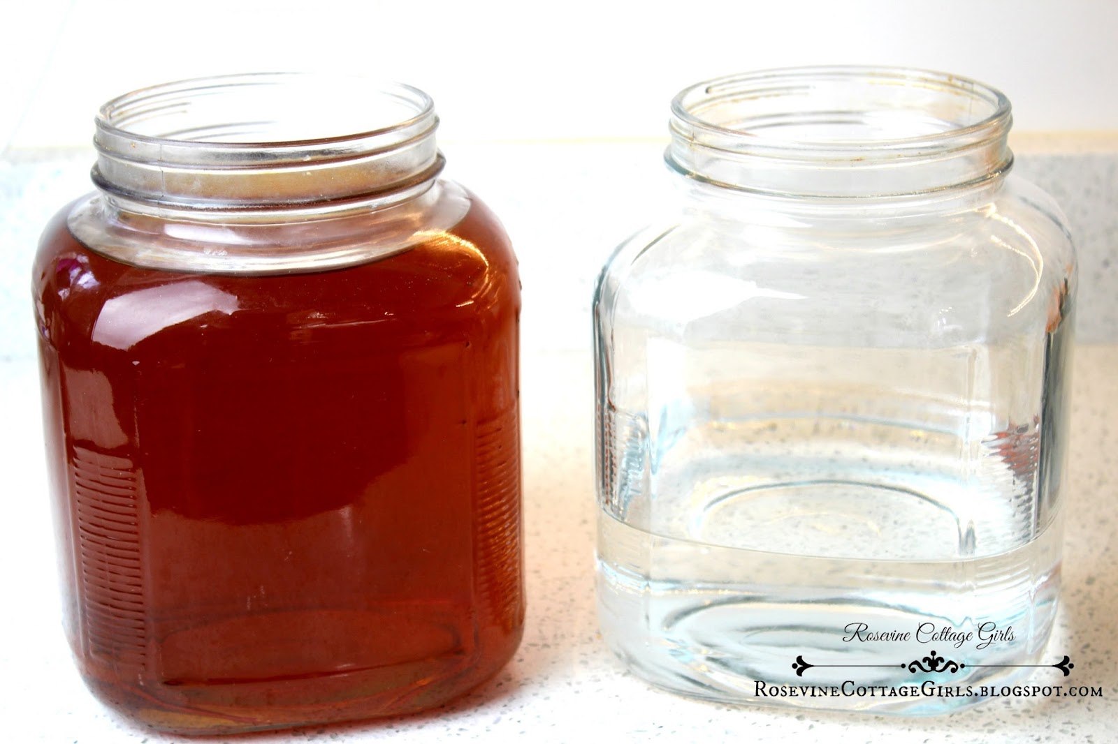 How To Grow A Kombucha Scoby