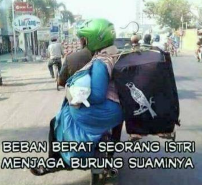 Kumpulan Meme Burung Lucu Sebagai Penghibur Di Kolom Komentar - Aero Jihan