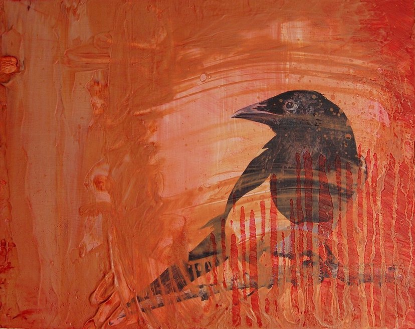 one a day: EB & Flow: An Interview with Margherita Berloni and Nathan ...