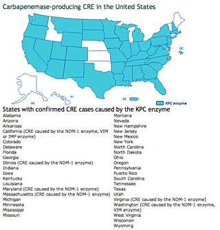 Controlo de Infeção em Português: Enterobacteriaceas resistentes aos ...