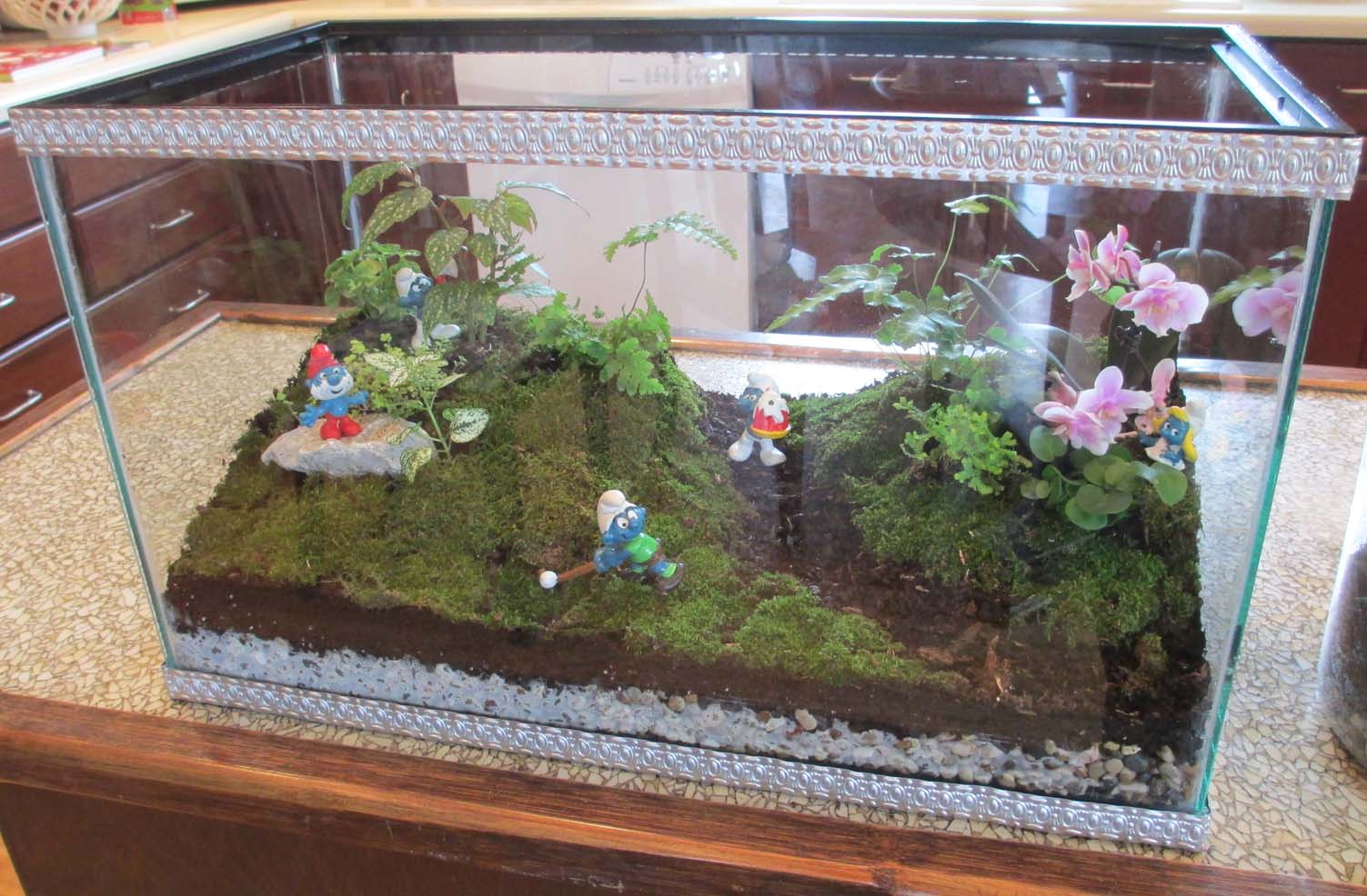 Garden Fancy: Terraria Mania