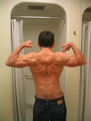 the beauty of male muscle: Steve