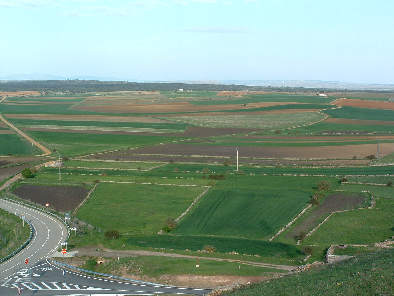 Histórico de Noticias de Baraona