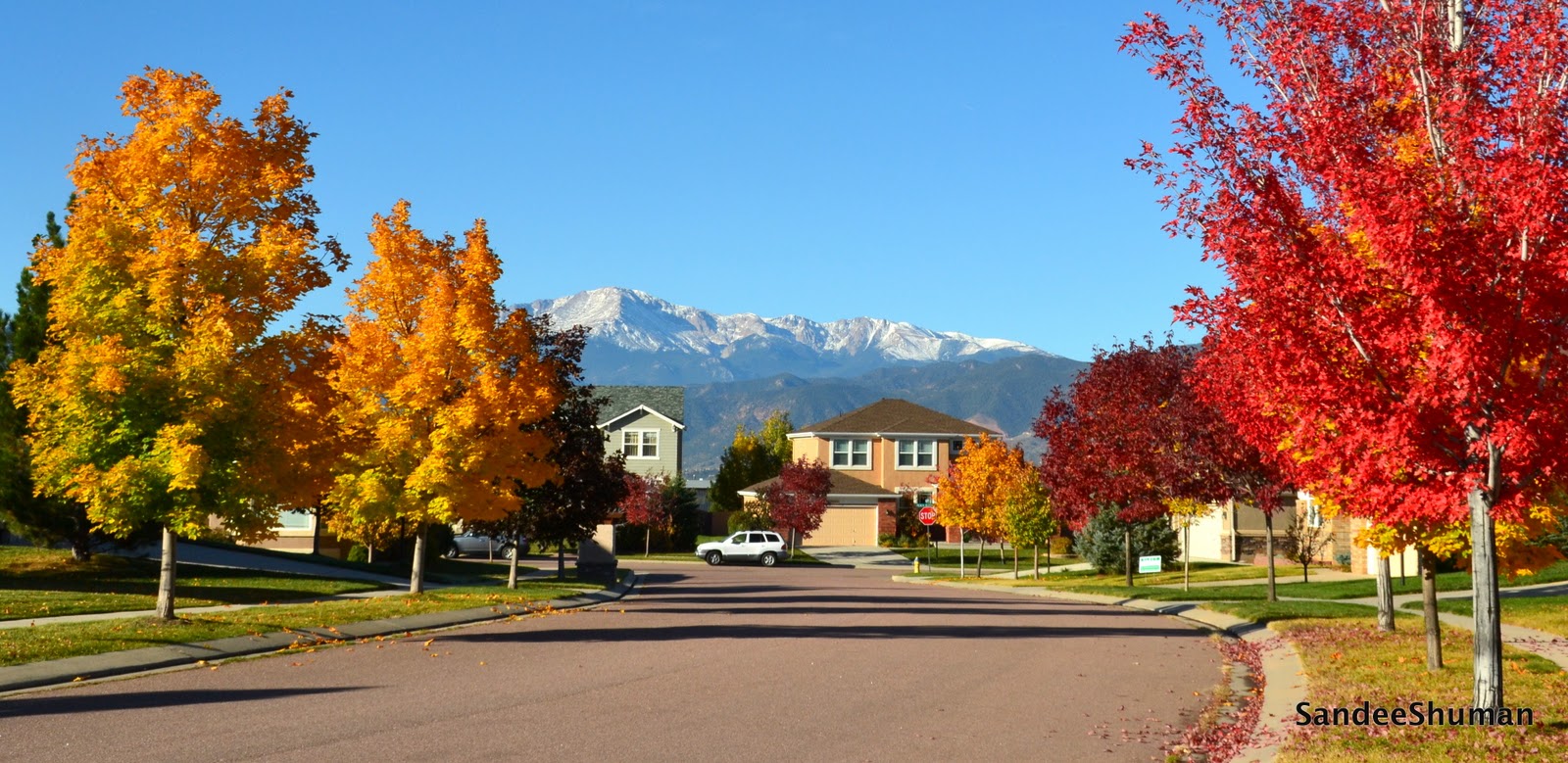 Shustrings: Fall in Colorado Springs