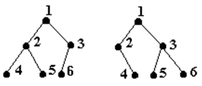 Arbori: Clasificarea arborilor binari