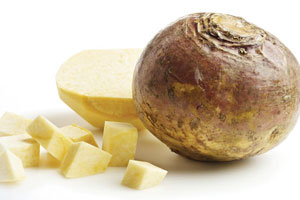 Bike WA to VT, Write History: Apr 7 – First, Chop Up a Swede