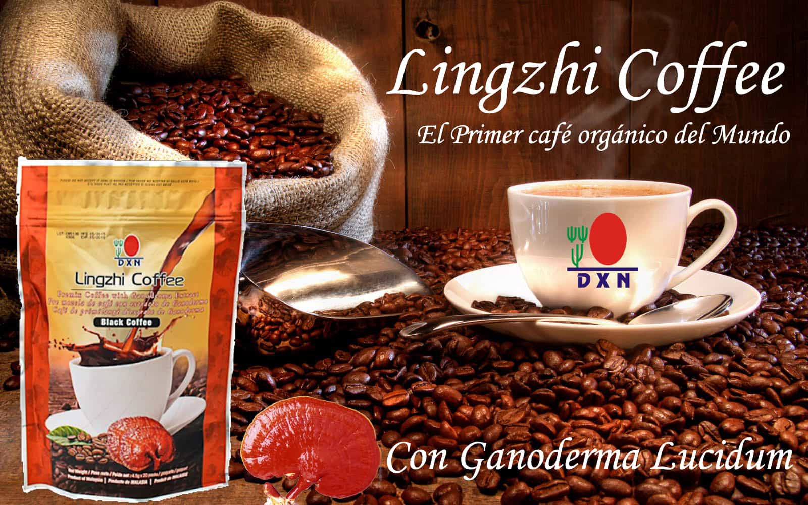REISHI o Ganoderma lucidum en un Café Orgánico | DXN Internacional, la ...