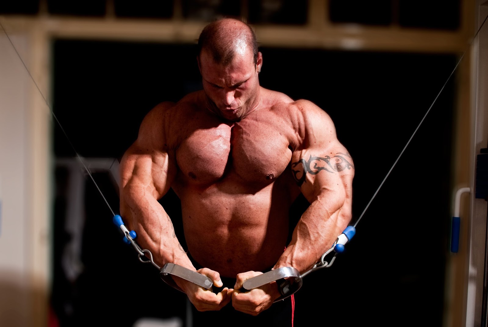 Muscle Lover: Morgan Aste