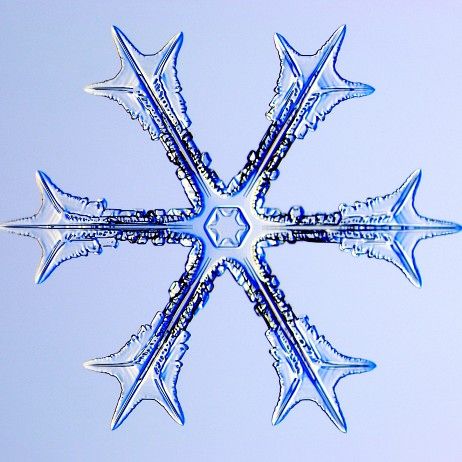 Heraldry of Life: ART with REAL SNOWFLAKES
