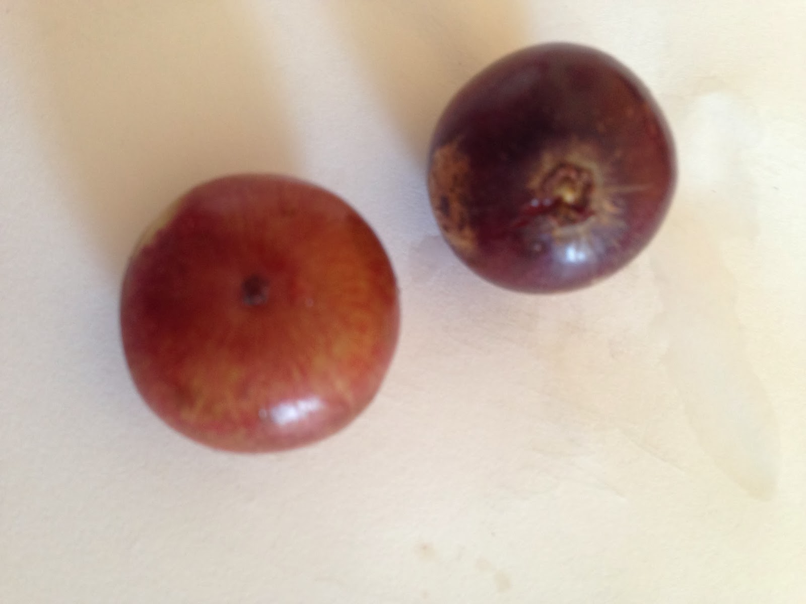 Nee, we eten wat anders