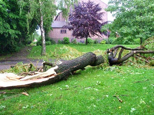 Storm in Germany today: Six killed in North Rhine-Westphalia