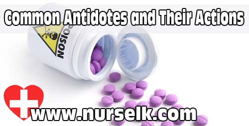 Common Antidotes and Their Actions | Nurselk.com