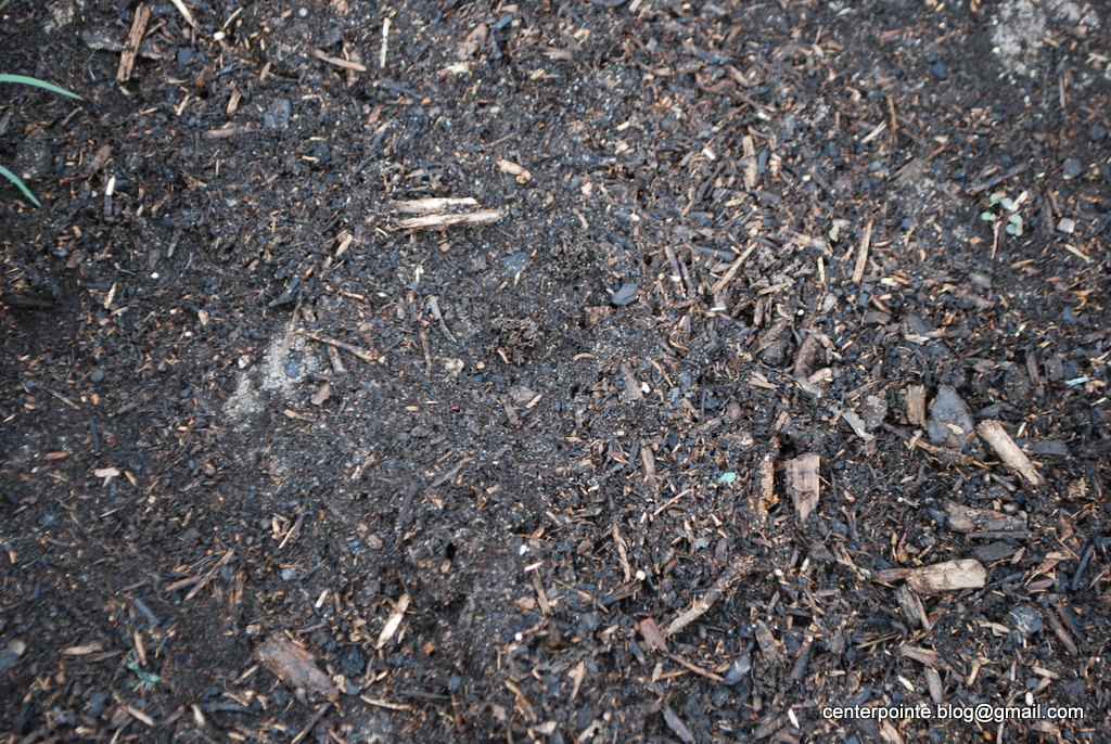 Centerpointe Communicator: Soil swap and sowing