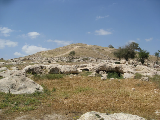 聖經考古: 聖地考古指南：迦特 Gath，巨人歌利亞的家鄉