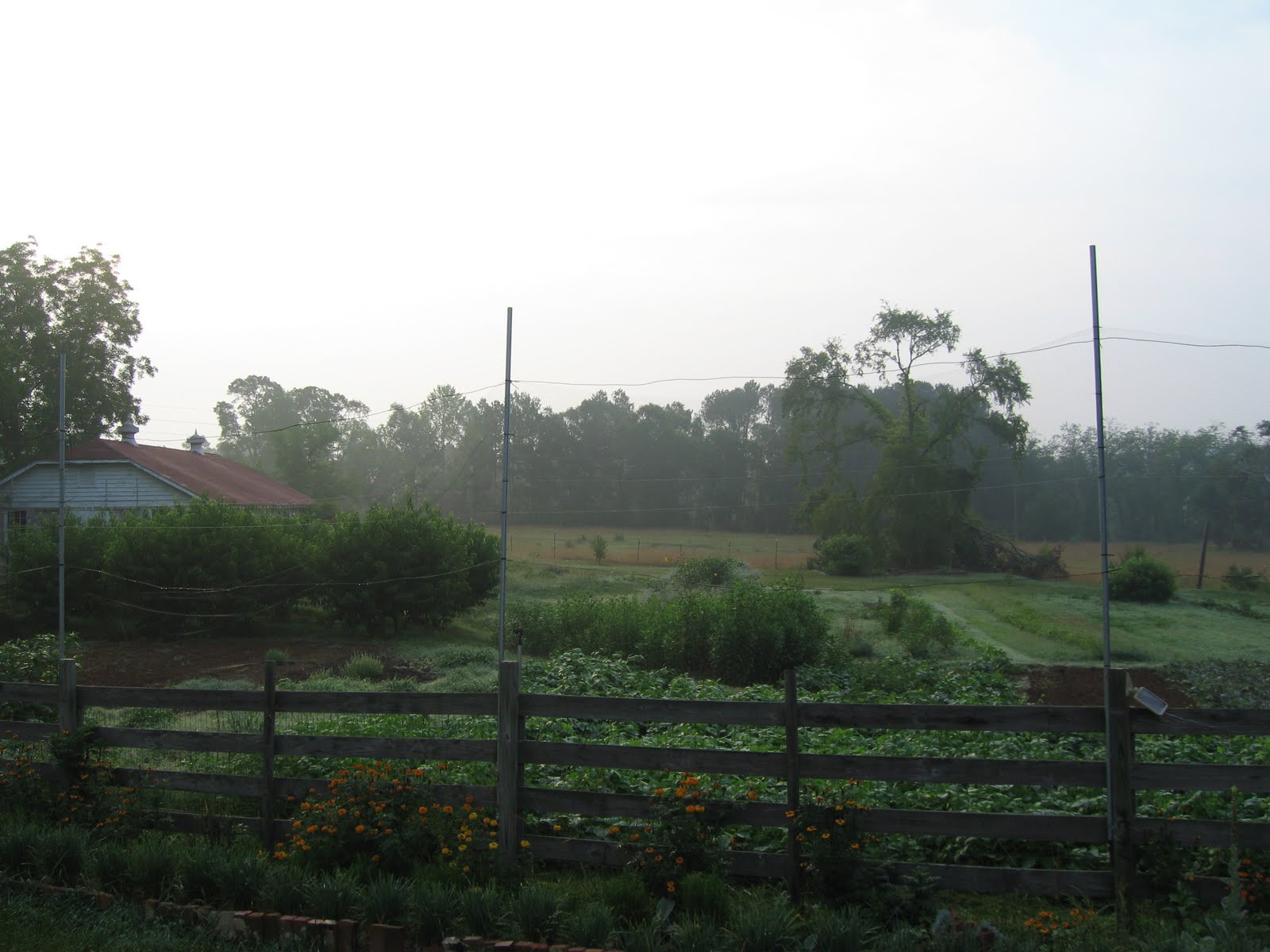 Peter and the WWOOF: Greenleaf Farms / detours / lowernine.org