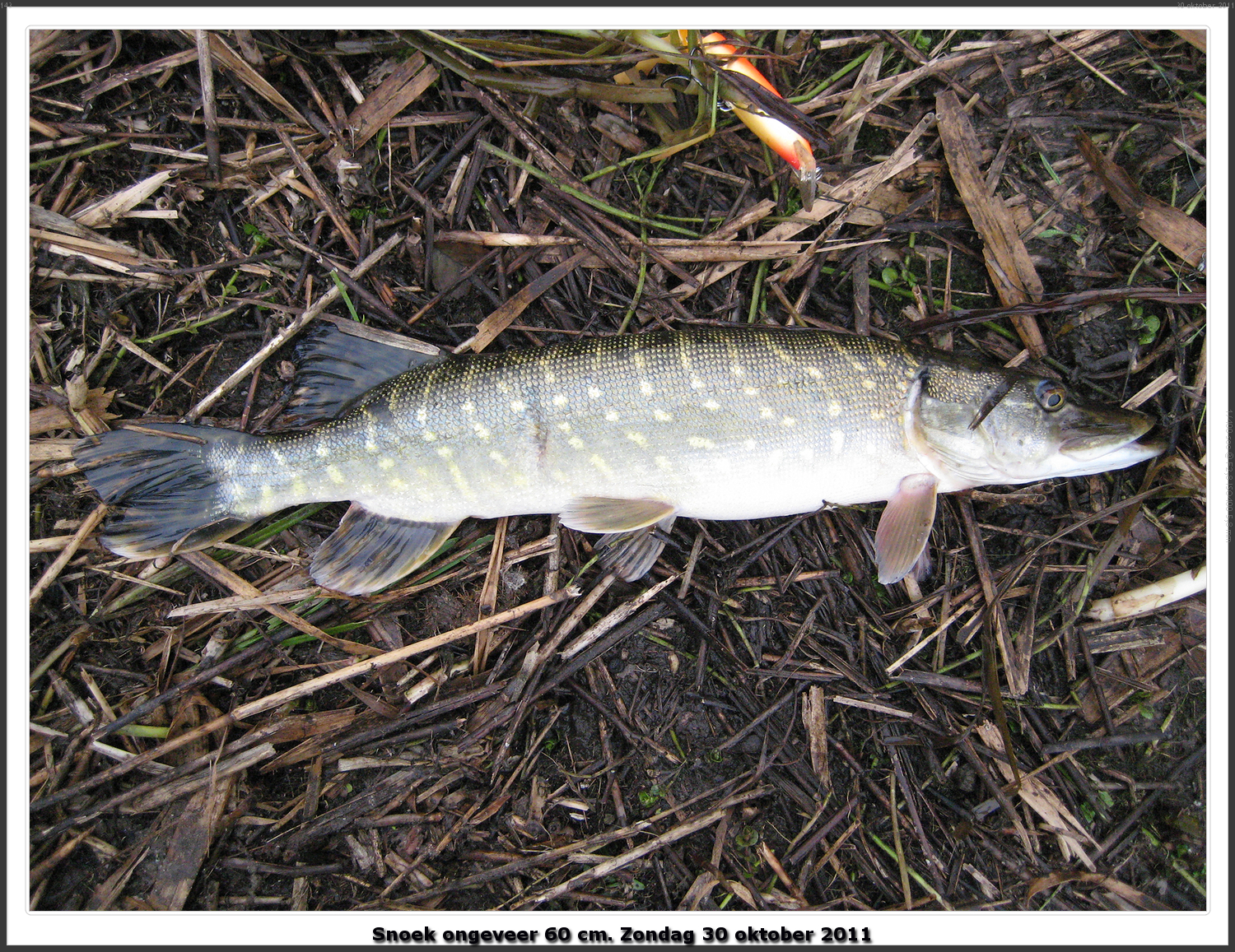 Ultralicht-vissen met Fairplay hengels: Een dagje samen op de snoek
